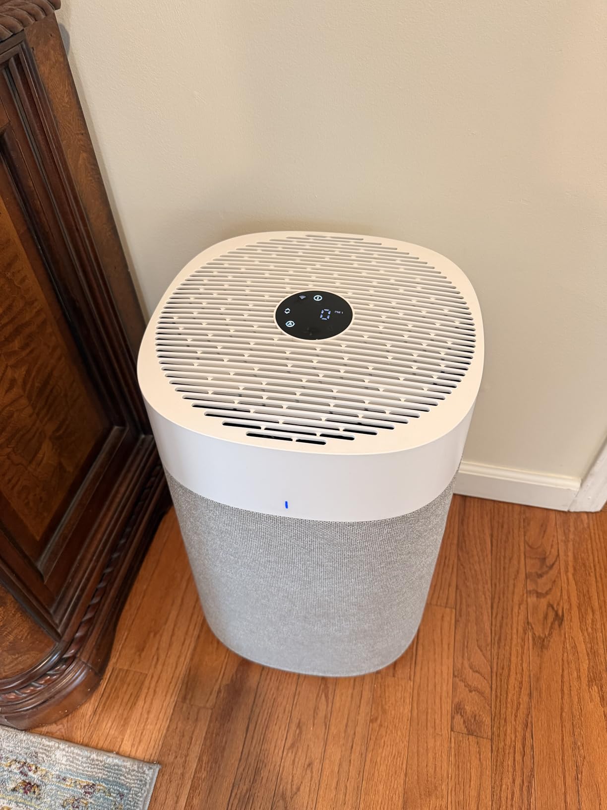 Blueair Blue Pure 411 Review: Small Space Champion 2026