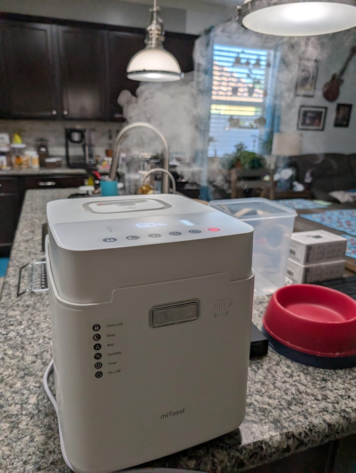 Best Steam Humidifiers 2025: Expert Reviews & Health Guide