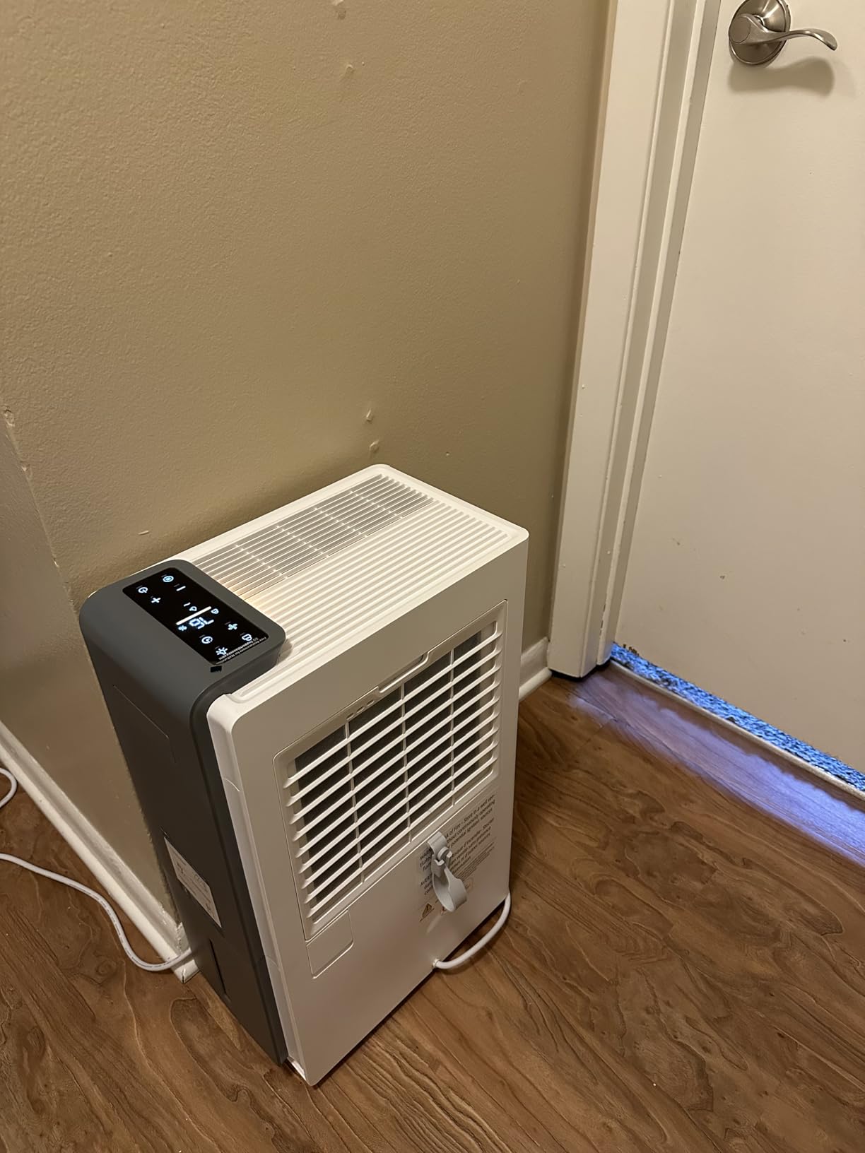 Best Crawl Space Dehumidifiers 2026: 8 Expert Reviews